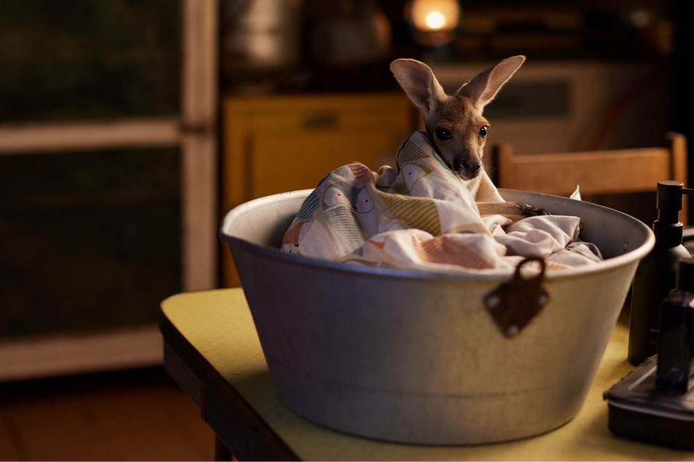 Maltesers Movie Moments